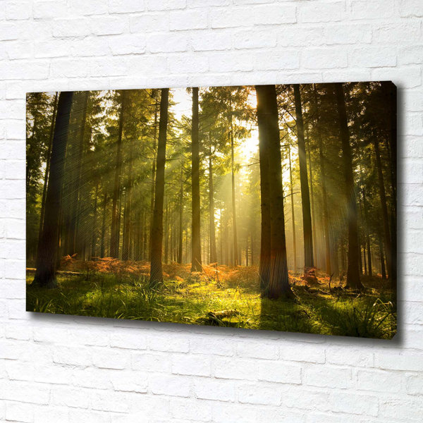 Union Rustic Wald in der Sonne - Kunstdrucke auf Leinwand - Wrapped Canvas | Wayfair.de